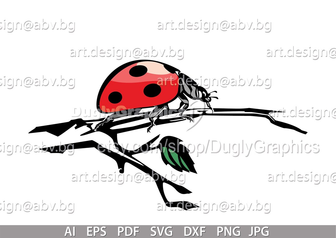 Vector LADYBUG Colored, AI, Eps, Pdf, Svg, Dxf, Png, Jpg Download ...