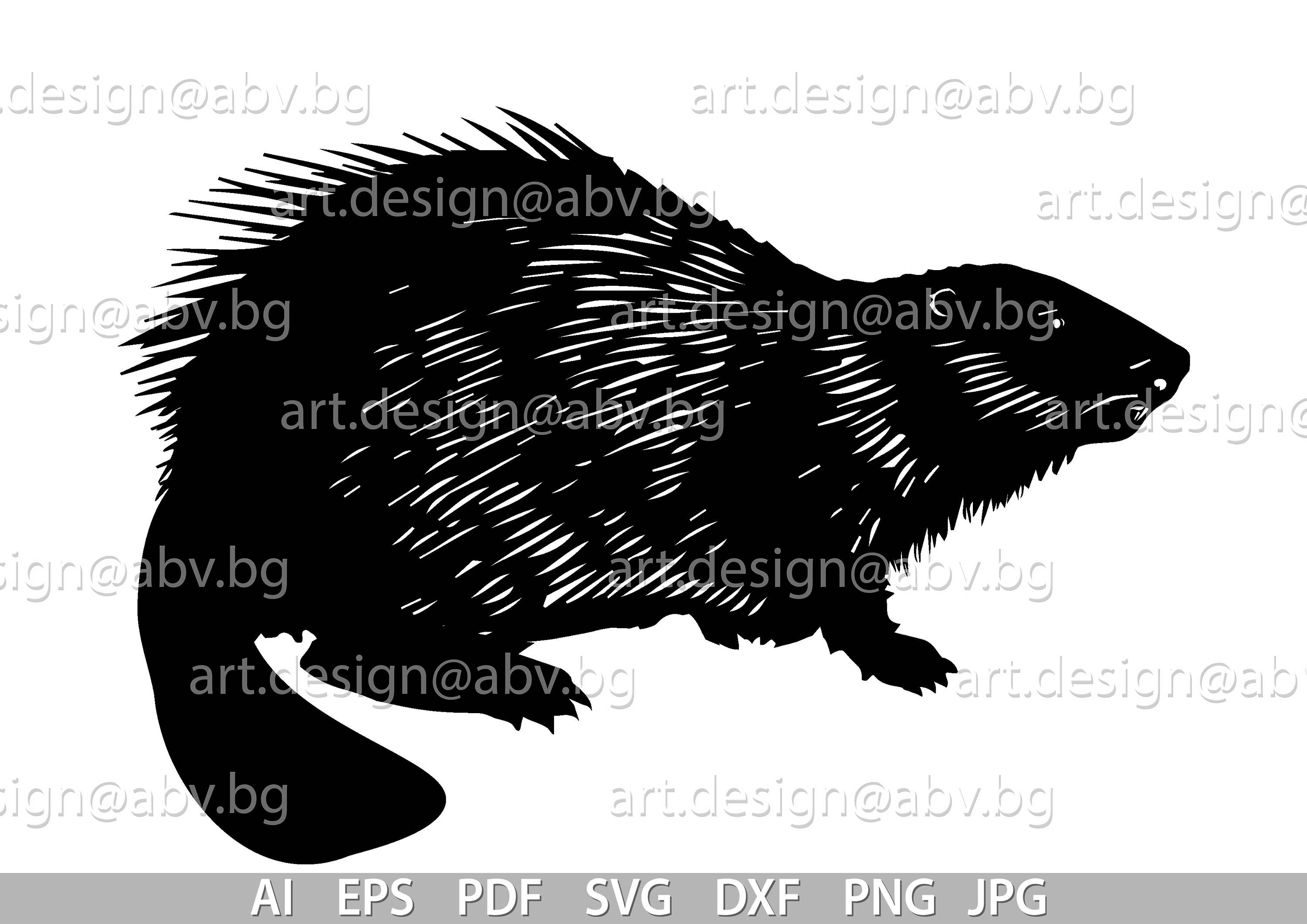 Vector BEAVER, AI, Eps, PNG, Pdf, Svg, Dxf, Jpg Download, Digital Image ...