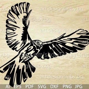 Vector OWL Fly, AI, PNG, Eps, Pdf, Svg, Dxf, Jpg Download, Digital ...