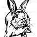 Vector RABBIT, AI, Eps, PNG, Pdf, Svg, Dxf, Jpg Download, Digital Image ...