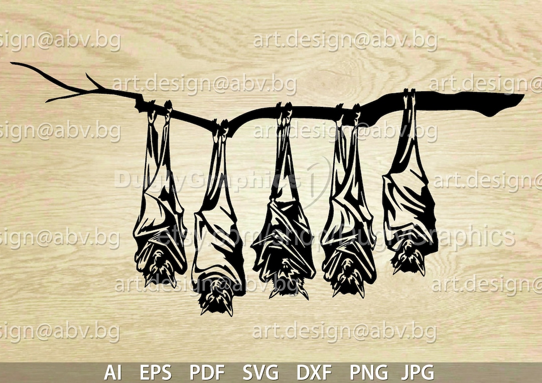 Vector SLEEPING BATS, Ai, Png, Eps, Pdf, Dxf, Svg, Jpg Download Files ...