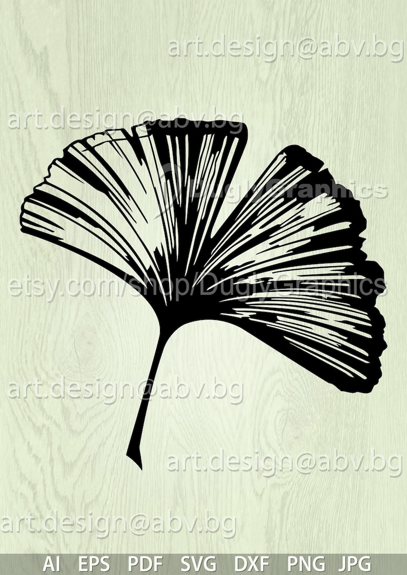 Vector LEAF Ginkgo Biloba Tree AI Eps Pdf Svg Dxf Png - Etsy