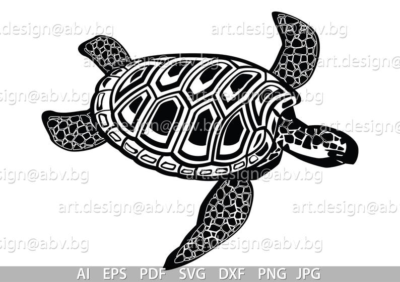 Turtle Vector Graphic, SVG, PNG, PDF (digital Download) - Etsy
