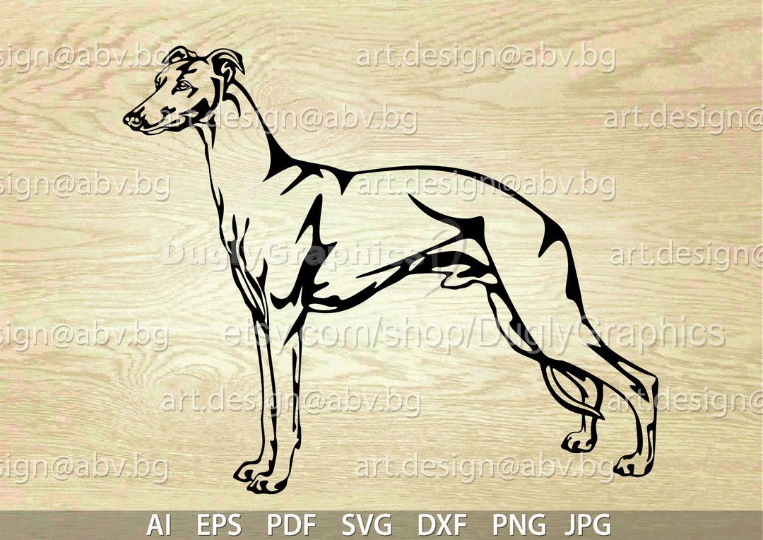 Vector DOG, Whippet, SVG, DXF, Ai, Png, Pdf, Eps, Jpg Download, Digital ...