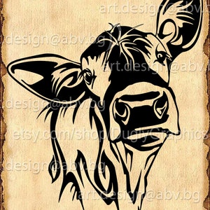 Vector COW, Calf, Cute Head, AI, PNG, Eps, Pdf, Svg, Dxf, Jpg Instant ...