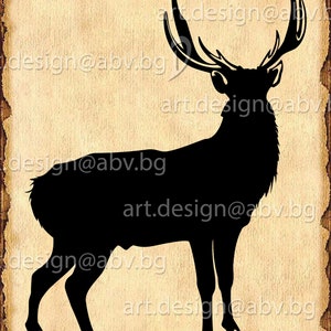 Vector RUSA STAG, Deer Body, AI, Eps, Pdf, Svg, Dxf, Png, Jpg Download ...