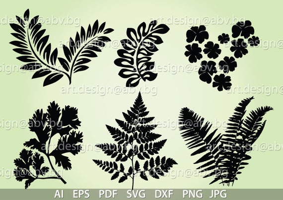 Vector LEAVES AI Eps Pdf Svg Png Dxf Jpg Download | Etsy