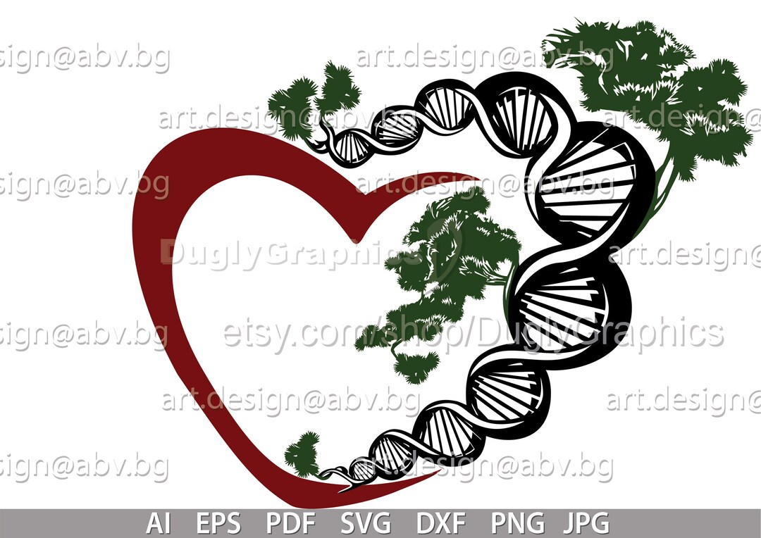 Vector DNA HEART Ai Eps Pdf Svg Dxf Png Jpg Download Graphical Image, DNA Life - Etsy