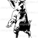 Vector DANCING PIG, Ai, Eps, Pdf, Svg, Dxf, Png, Jpg Download, Digital ...