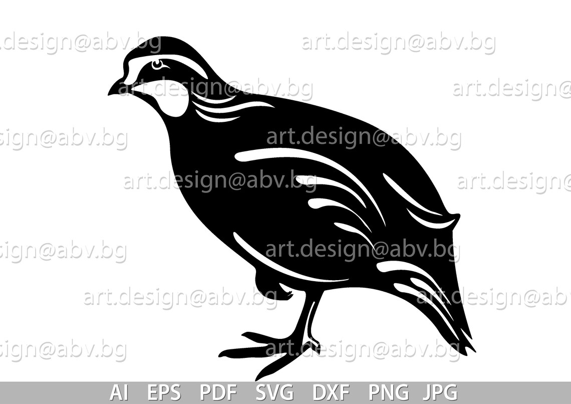 Vector BOBWHITE Quail AI Eps Pdf Png Svg Dxf Jpg Image - Etsy