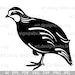 Vector BOBWHITE, Quail, AI, Eps, Pdf, Png, Svg, Dxf, Jpg Image Graphic ...