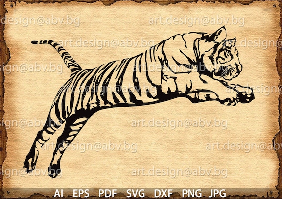Jumping Tiger Vector Image