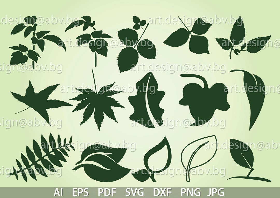 Vector LEAVES, Ai, Eps, Pdf, Svg, Dxf, Png, Jpg Download, Digital Image ...