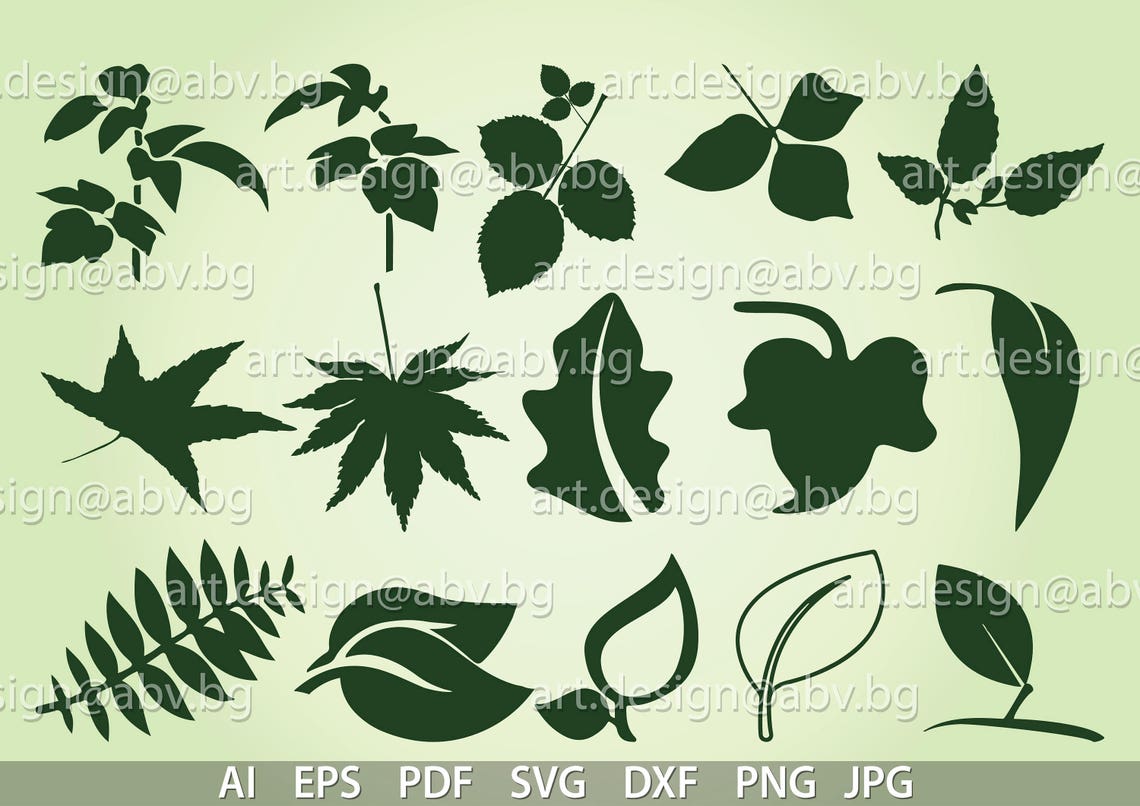 Vector LEAVES Ai Eps Pdf Svg Dxf Png Jpg Download - Etsy