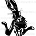 Vector RABBIT, Jump, AI, Eps, PNG, Pdf, Svg, Dxf, Jpg Download, Digital ...