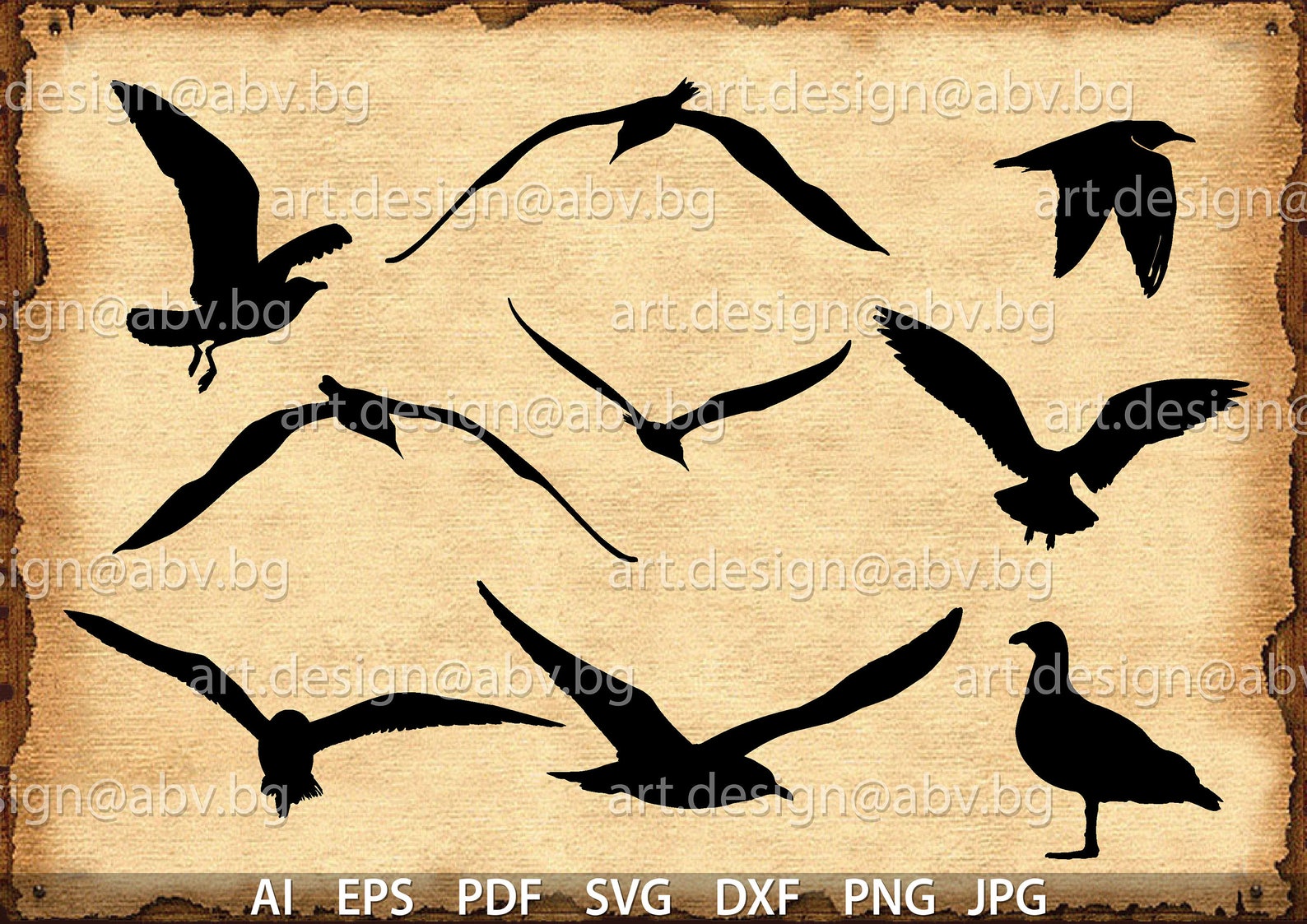 Vector BIRDS, Seagull, Ai, Eps, SVG, Pdf, Dxf, Png, Jpg Download ...
