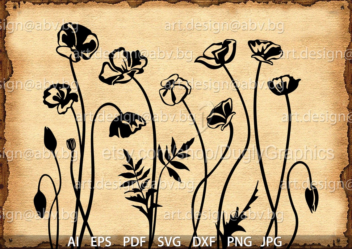 Vector POPPY FLOWERS Ai Eps Png Pdf SVG Dxf Jpg | Etsy