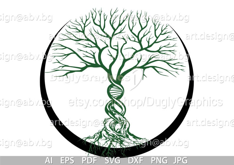 DNA Tree in Circle, AI Eps Pdf Svg Dxf Png Jpg Download Graphical Image ...
