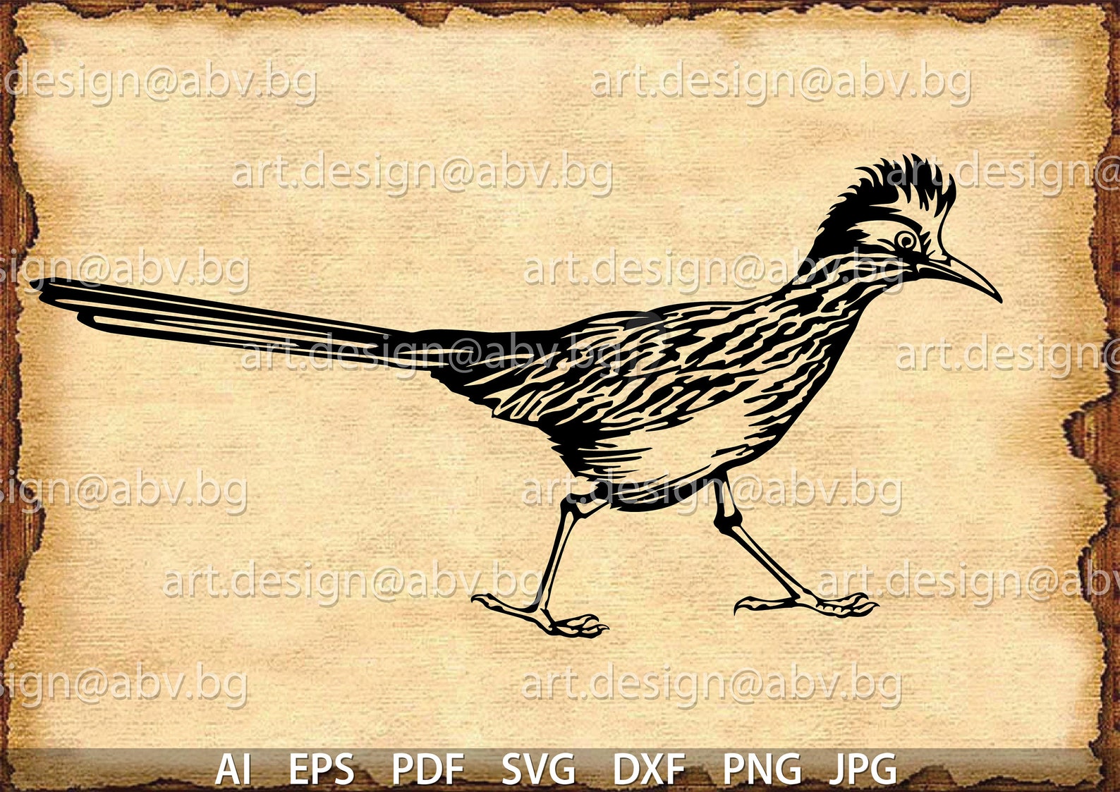 Vector BIRD AI Eps Pdf SVG Dxf Png Jpg Download - Etsy