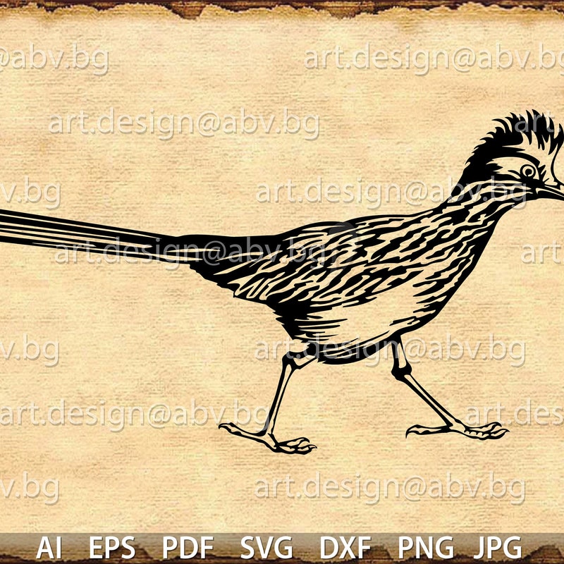 Road Runner Svg - Etsy