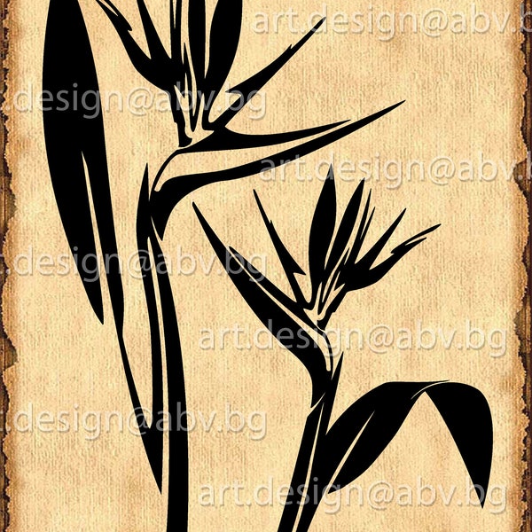 Strelitzia Art - Etsy