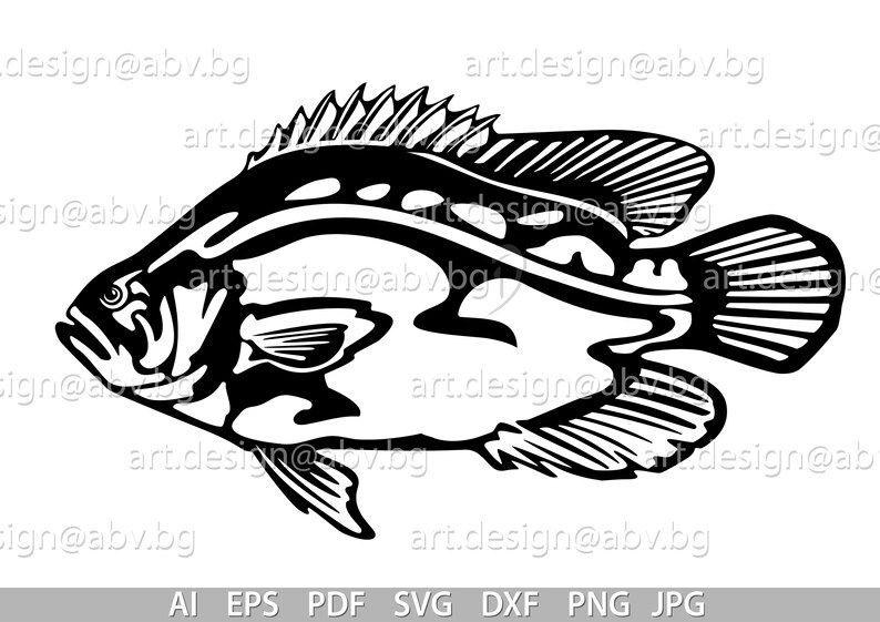 Vector FISH Atlantic Triple Tail AI Eps Pdf PNG Svg | Etsy