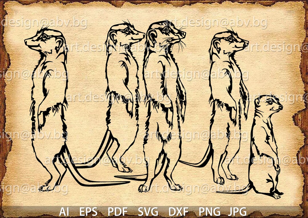 Vector MEERKATS Family Surikats AI Eps Pdf Png Svg Dxf - Etsy