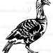 Vector HAWAIIAN GOOSE NENE, Svg, Ai, Eps, Pdf, Png, Dxf, Jpg Image ...