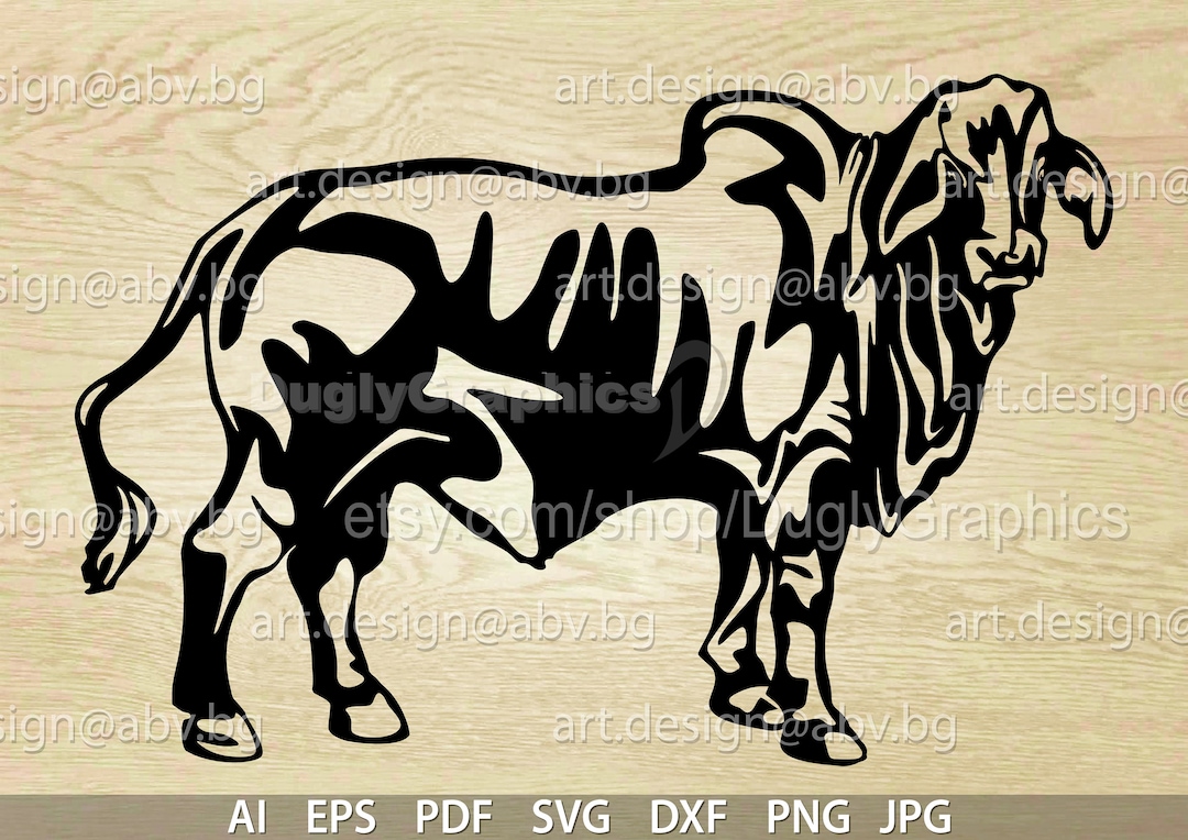 Vector COW, Brahman, AI, PNG, Eps, Pdf, Svg, Dxf, Jpg Instant Download ...