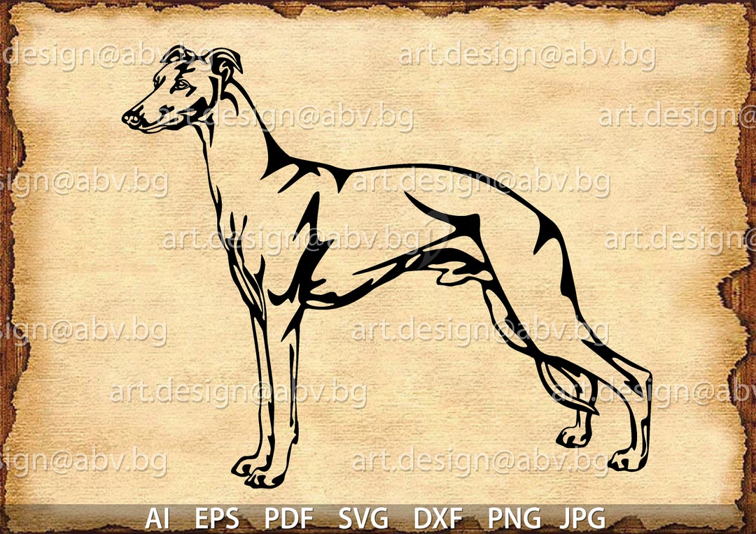 Vector DOG Whippet SVG DXF Ai Png Pdf Eps Jpg - Etsy