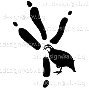 Vector BOBWHITE TRACKS, Quail, AI, Eps, Pdf, Png, Svg, Dxf, Jpg Image ...