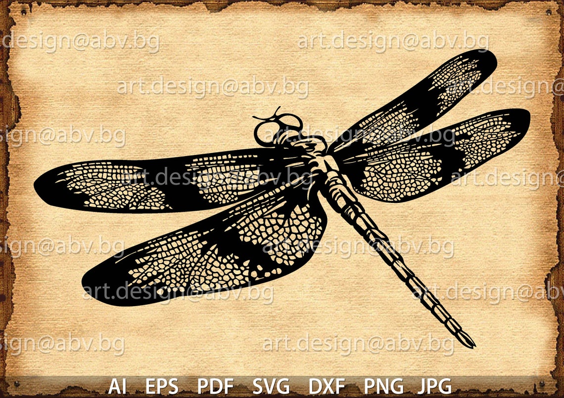 Vector DRAGONFLY AI PNG Eps Pdf Svg Dxf Jpg Download Digital - Etsy