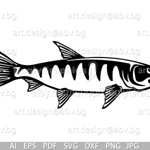 Vector BONEFISH, Ai, Eps, Pdf, Png, Svg, Dxf, Jpg Graphic Digital ...