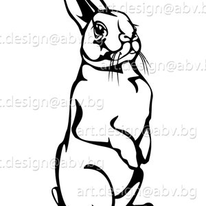 Vector RABBIT, AI, Eps, PNG, Pdf, Svg, Dxf, Jpg Download, Digital Image ...