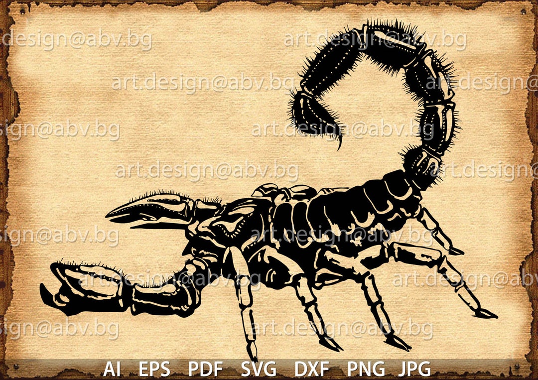 Vector SCORPION, AI, PNG, Eps, Pdf, Svg, Dxf, Jpg Download, Digital ...