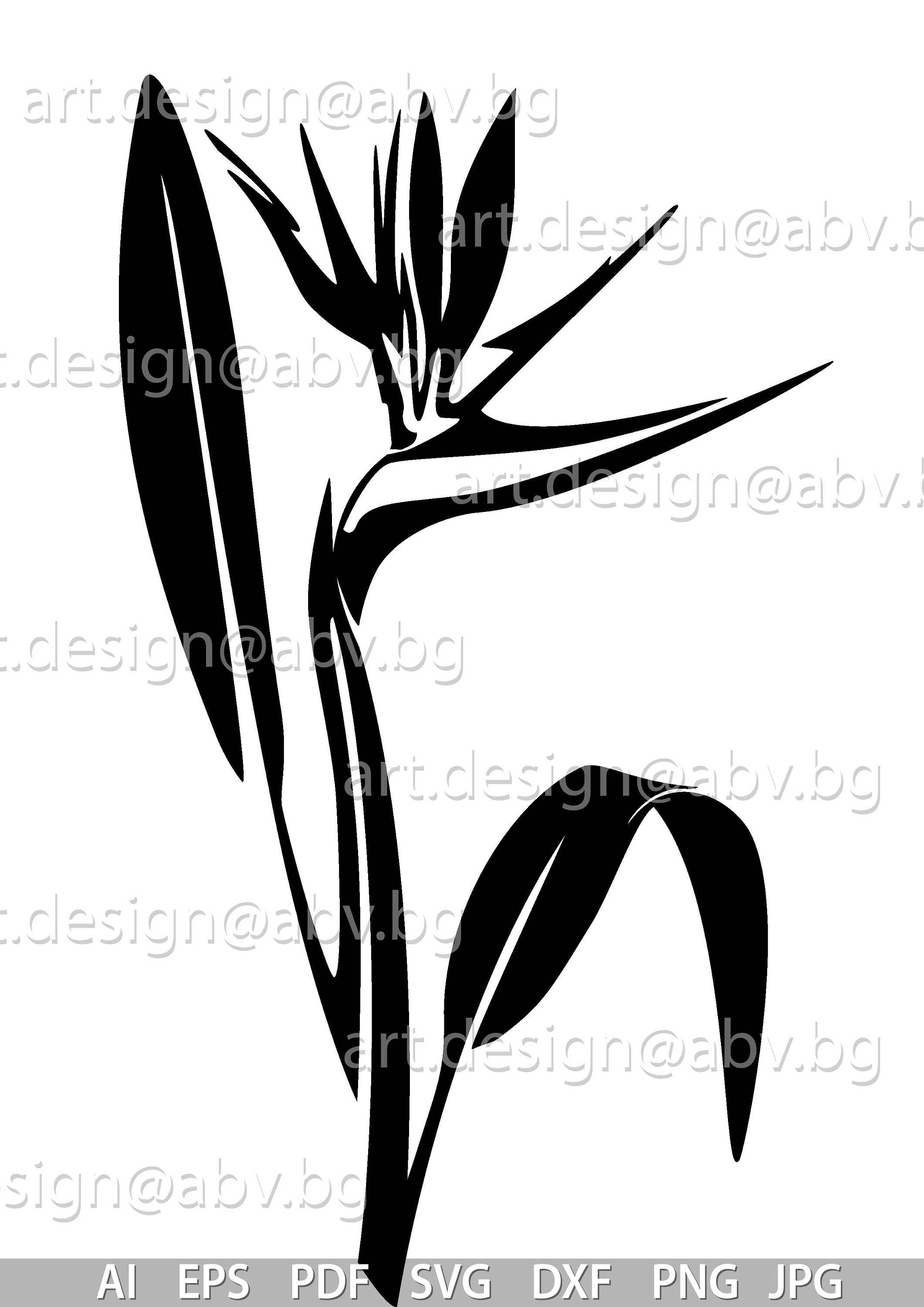 Vector STRELITZIA AI PNG Eps Pdf Svg Dxf Jpg Download | Etsy India