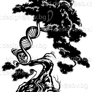 Vector DNA TREE AI Eps Pdf Svg Dxf Png Jpg Download Graphical Image - Etsy