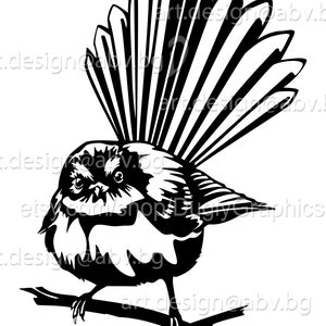 Vector FANTAIL New Zealand, AI, PNG, Eps, Pdf, Svg, Dxf, Jpg Download ...