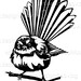 Vector FANTAIL New Zealand, AI, PNG, Eps, Pdf, Svg, Dxf, Jpg Download ...