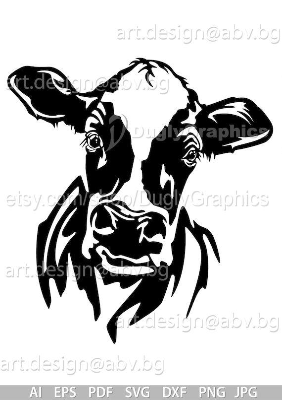 Holstein Cow Head Drawing