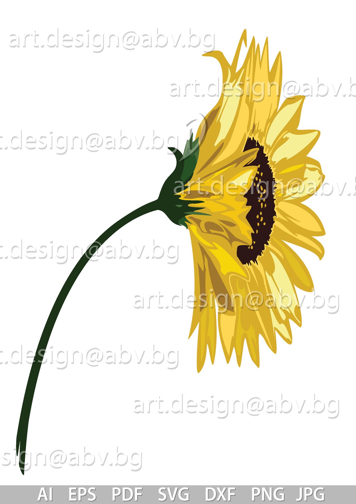 Vector SUNFLOWER AI Eps Pdf Svg Dxf Png Jpg Download - Etsy
