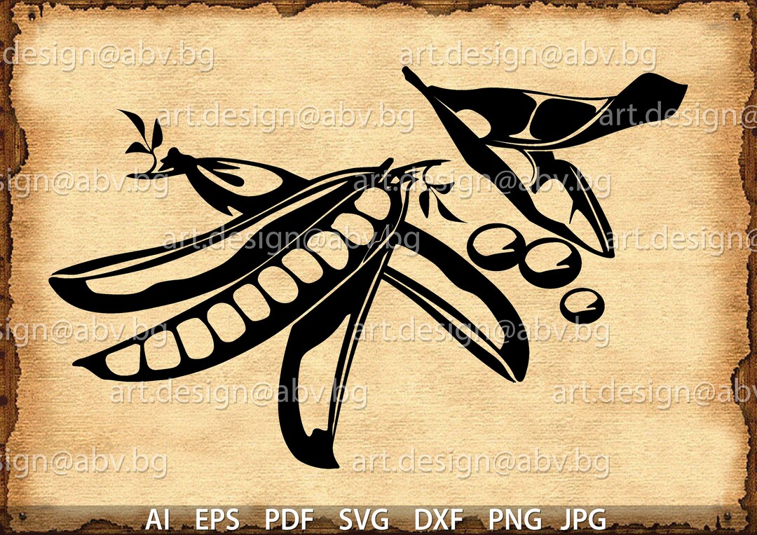 Vector SOYBEAN PODS AI Eps Png Pdf Svg Dxf Jpg - Etsy
