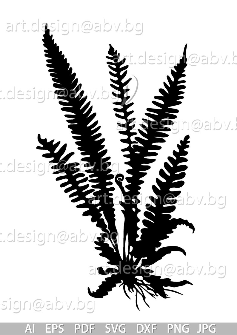 Vector FERN AI Eps Pdf SVG Dxf Png Jpg Download - Etsy