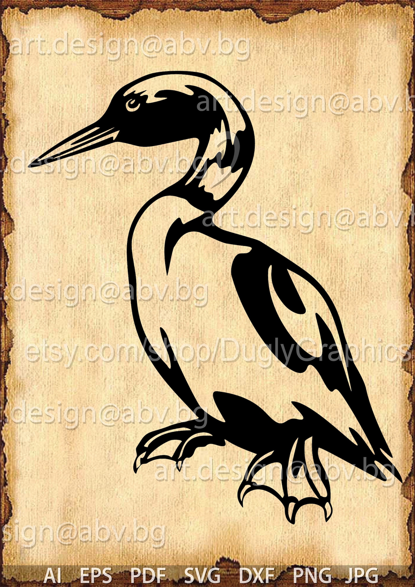 Vector COMMON LOON AI Eps Pdf Png Svg Dxf Jpg Image - Etsy