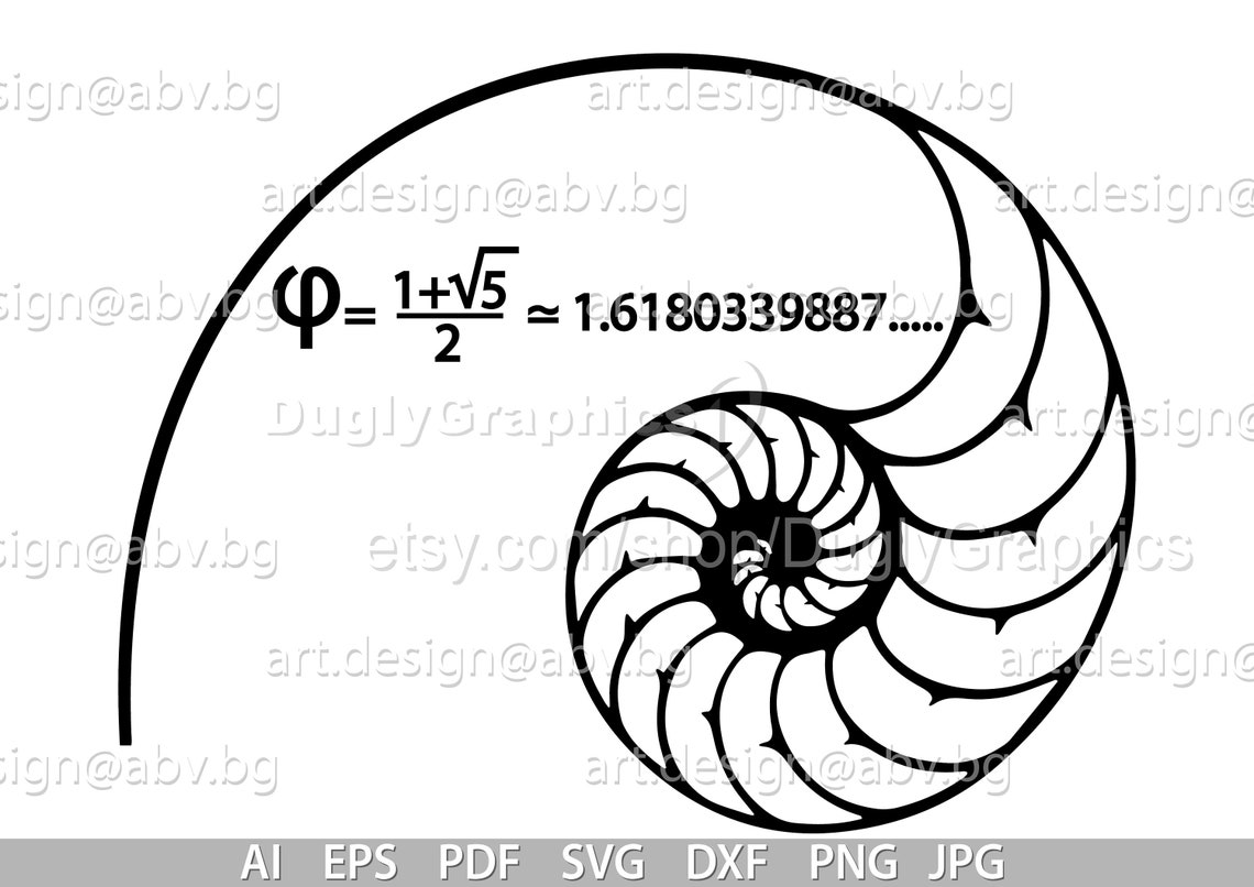 Vector FIBONACCI SPIRAL Golden Ratio AI Png Eps Pdf Svg - Etsy