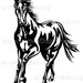 Vector HORSE Running SVG DXF Ai Eps Pdf Png Jpg Download Digital Image ...