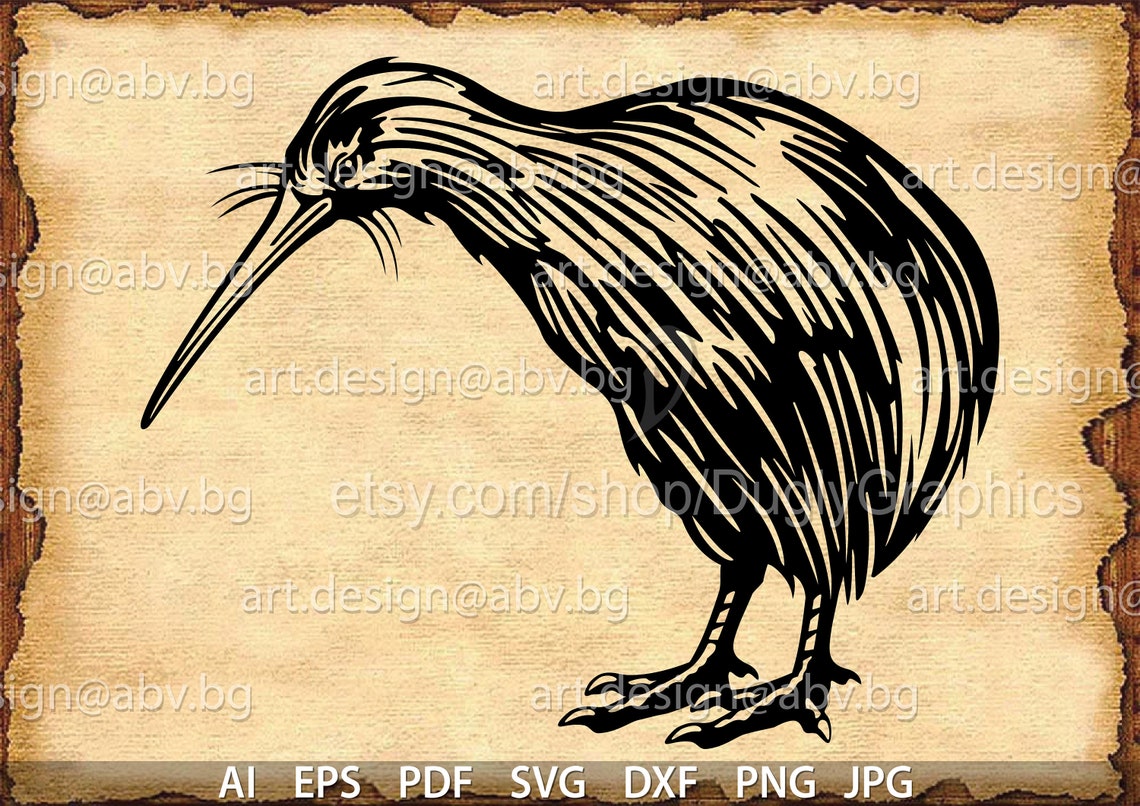 Vector KIWI AI PNG Eps Pdf Svg Dxf Jpg Download - Etsy