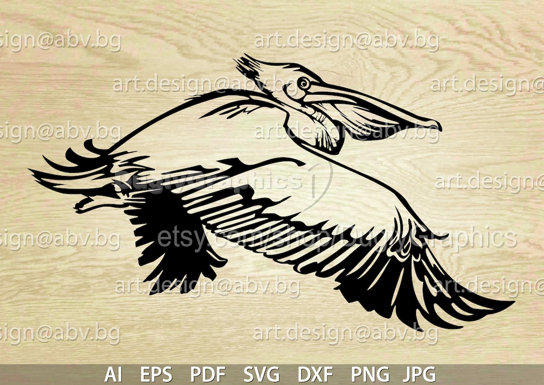 Vector PELICAN, AI, PNG, Pdf, Eps, Svg, Dxf, Jpg Download, Digital ...