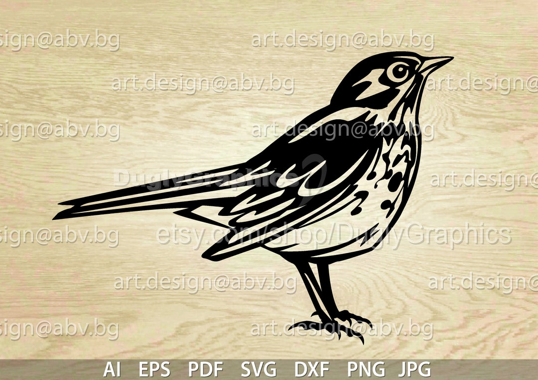 Hermit Thrush Vector Image (digital Download) - Etsy