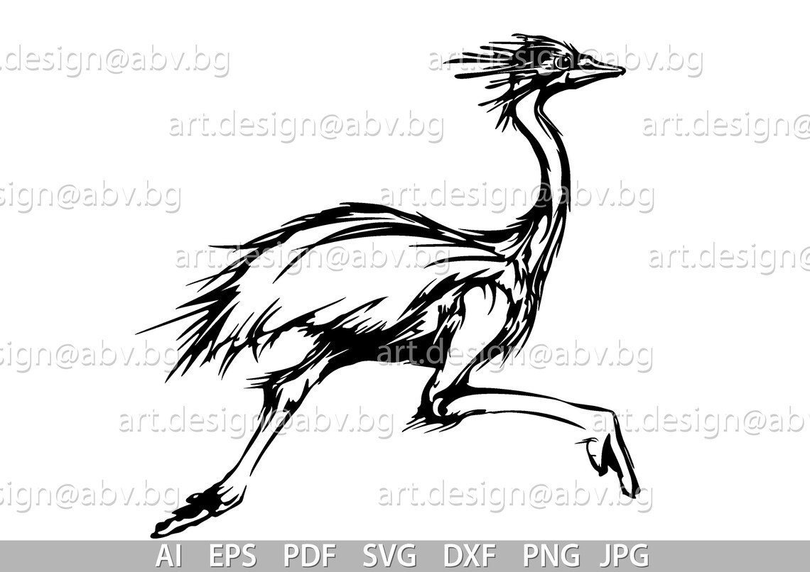 Vector OSTRICH Running AI PNG Pdf Eps Svg Dxf Jpg Download | Etsy